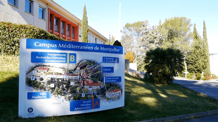Université Abdelhamid ibn Badis Mostaganem - Université Abdelhamid ibn ...